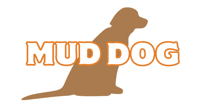 Signs Your Concrete Needs Jacking and Leveling Mud Dog Jacking